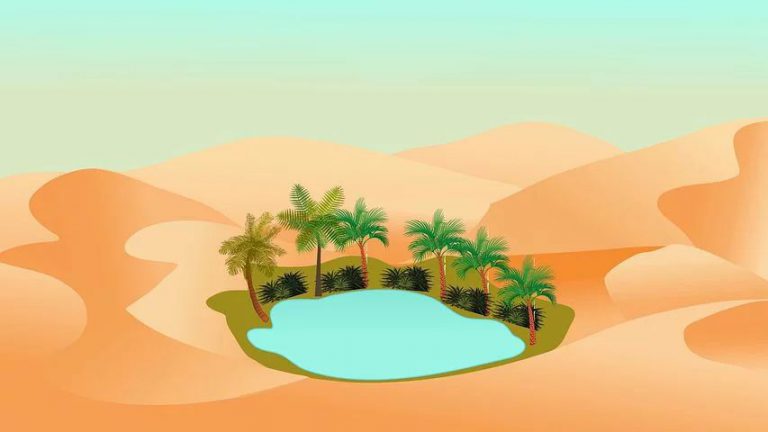 Neues von der OASE. Man konnte sich wohl nicht einigen. | Blog für ...